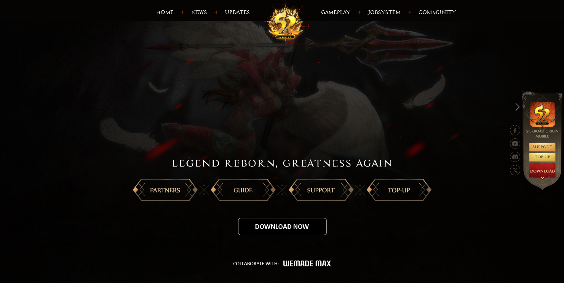 Silkroad Origin Mobile (MMO) - Project Details